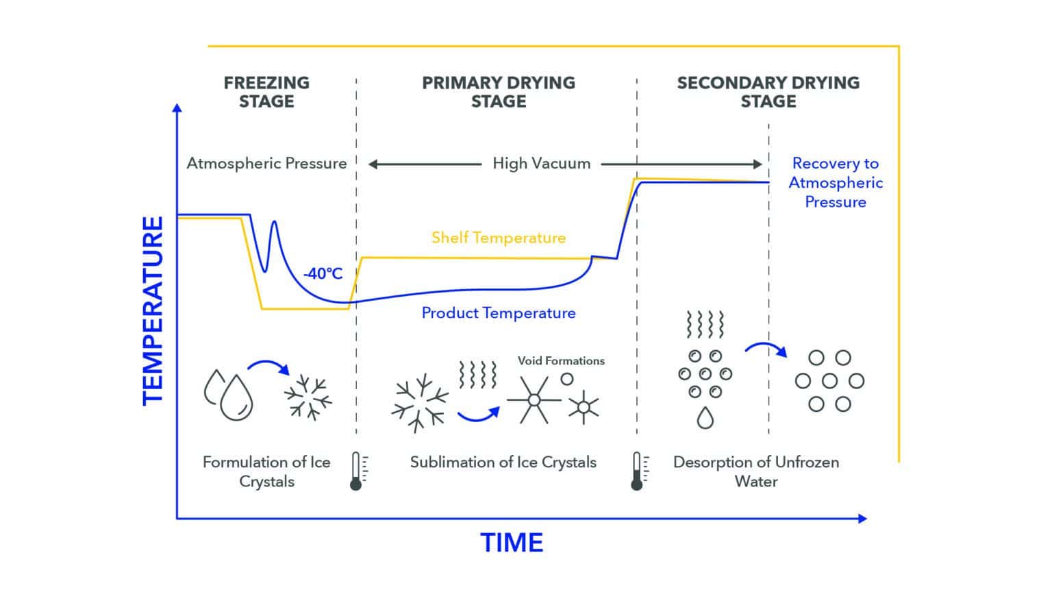 Part 1 - Lyophilization Process Optimization - Argonaut Manufacturing ...
