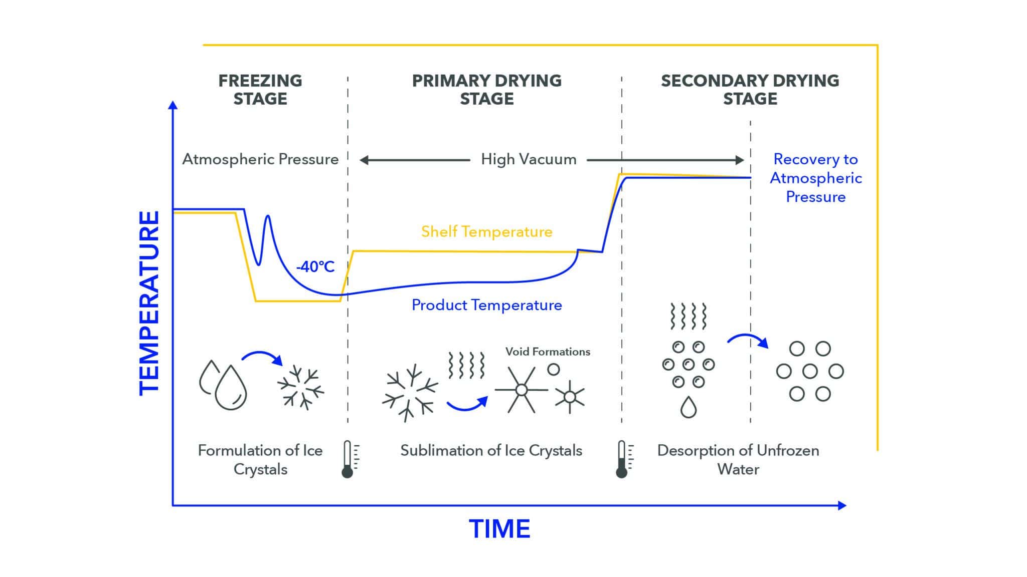 Part 1 - Lyophilization Process Optimization - Argonaut Manufacturing ...
